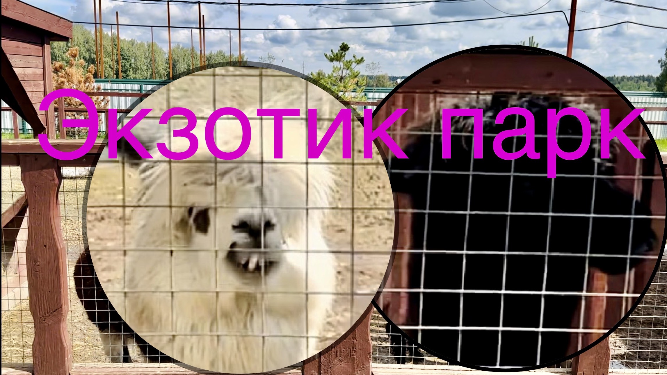 Экзотик парк