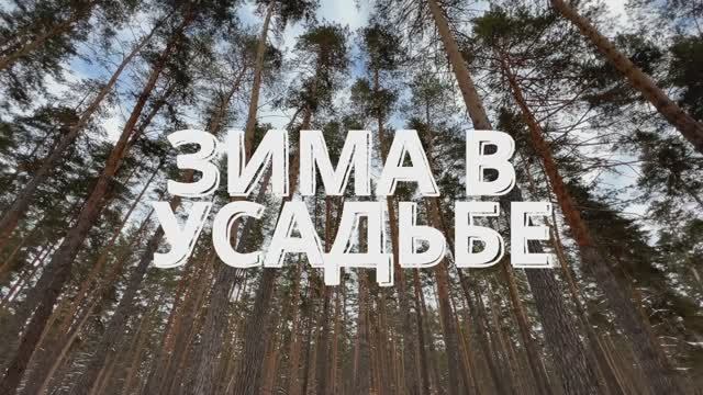 По зимнему лесу с биглем Hugo. ASMR.