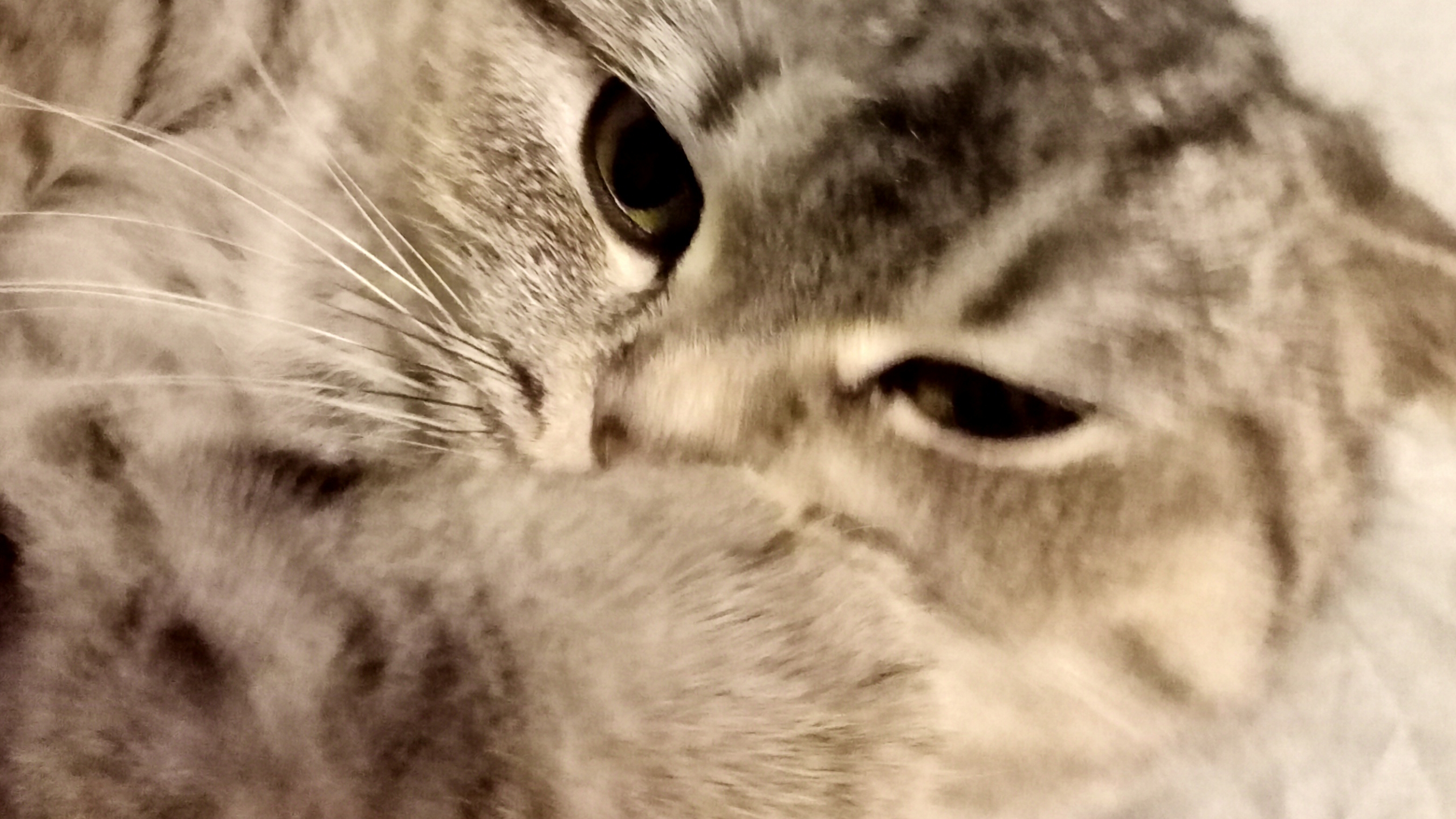 😻Бойтесь терпеливых людей😉