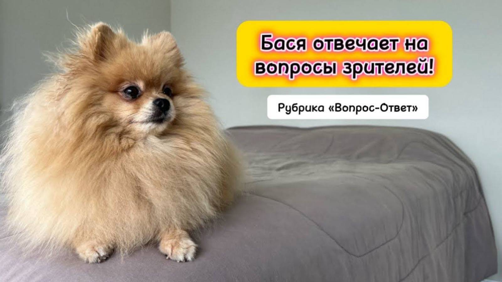 Бася отвечает на вопросы зрителей!