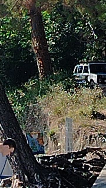 Приехали на дикий пляж "Белые ночи" 7.08.2024