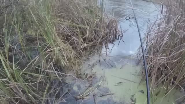 Осенний жор! (УДАРЫ на каждом забросе!)