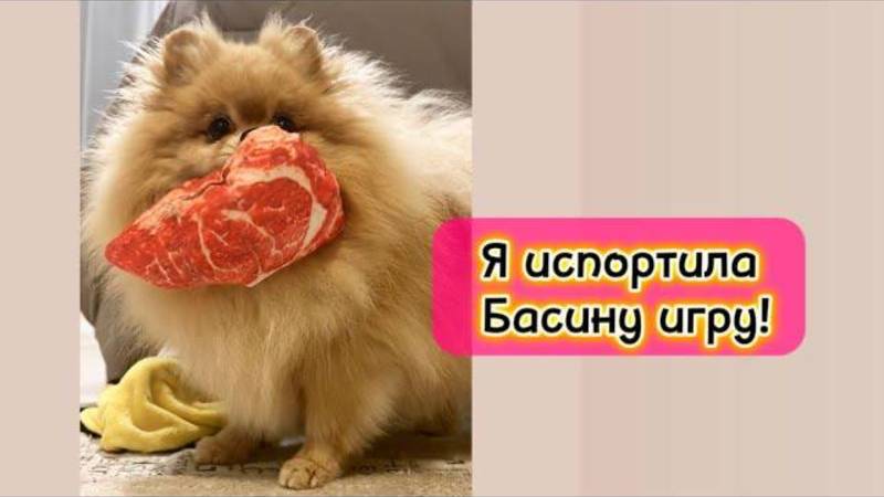 Я испортила Басину игру!