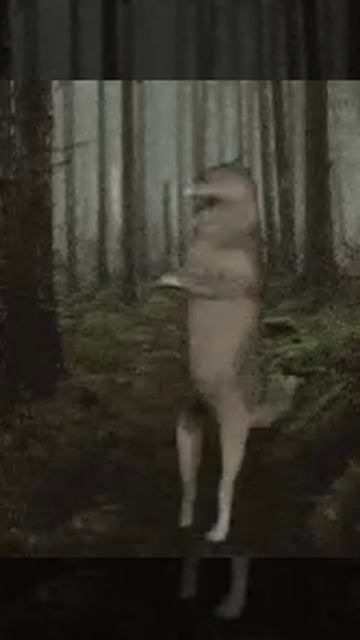 просто посмотри это видео :)