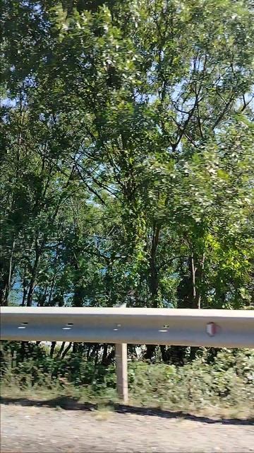 Дорога к морю 7.08.2024