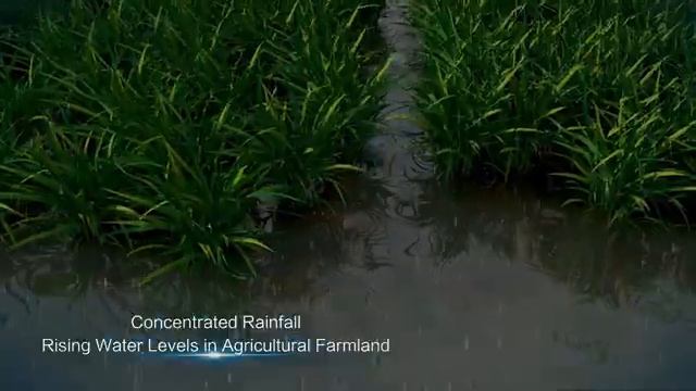 Обзор насоса серии QY Shimge