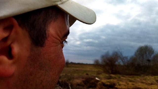 В поисках бобра/запруды/нора/ежик