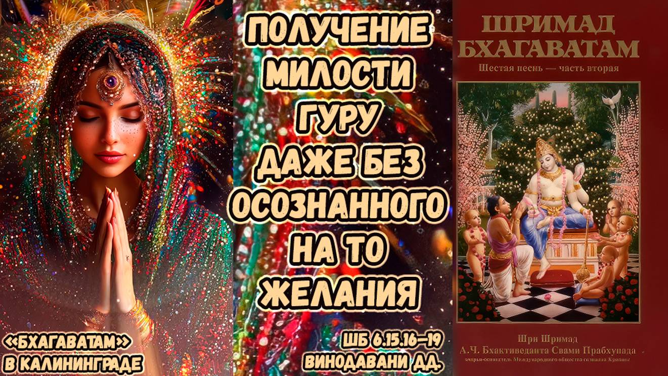Получение милости гуру даже без осознанного на то желания. Винодавани дд. ШБ 6.15.16–19