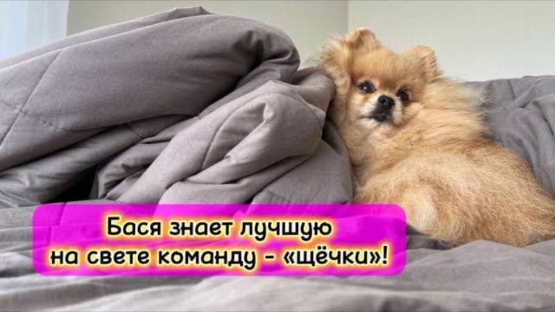 Бася знает лучшую на свете команду - «щёчки»!