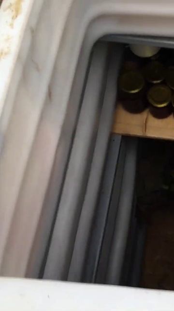 Отзыв клиента о погребе TINGARD #17 (г. Коломна)