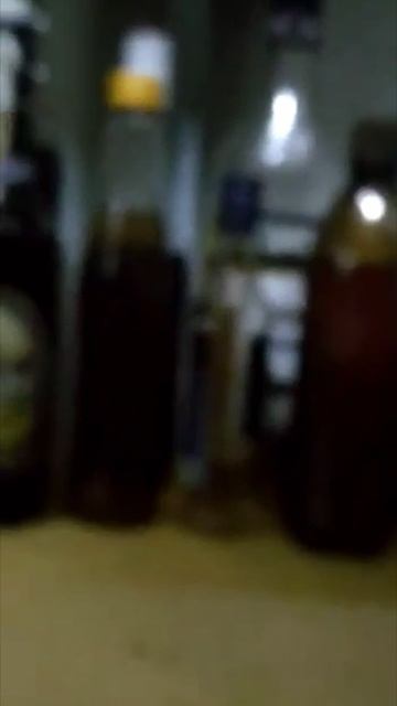 Пластиковый погреб. Отзыв. TINGARD #15