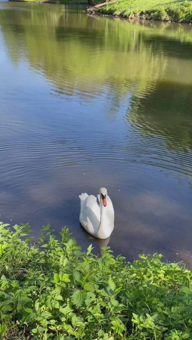 Царицыно. 19.05.2024.