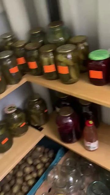 Отзыв о погребе TINGARD #12