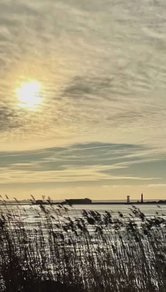 Питер. Кронштадт. 19.01.2025.