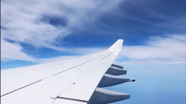 Объявления и Диалоги в Самолете на Англииском языке Англиискии для путешествии_360p