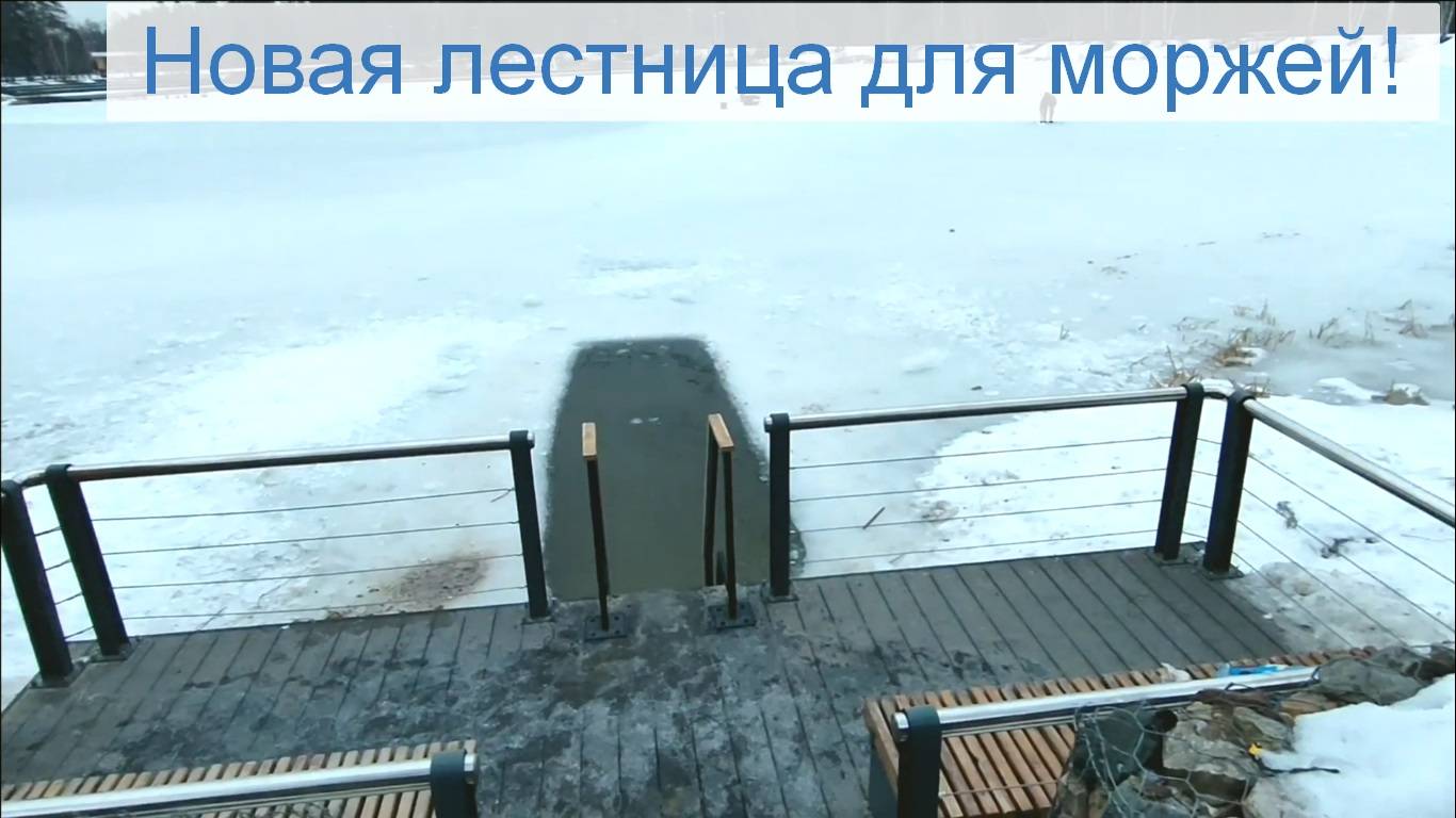 Новая лестница для моржей