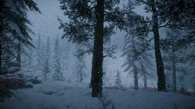 Атмосфера зимнего леса с метелью и ветром 10 часов