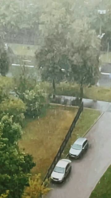 Дождь. 13.06.2024.