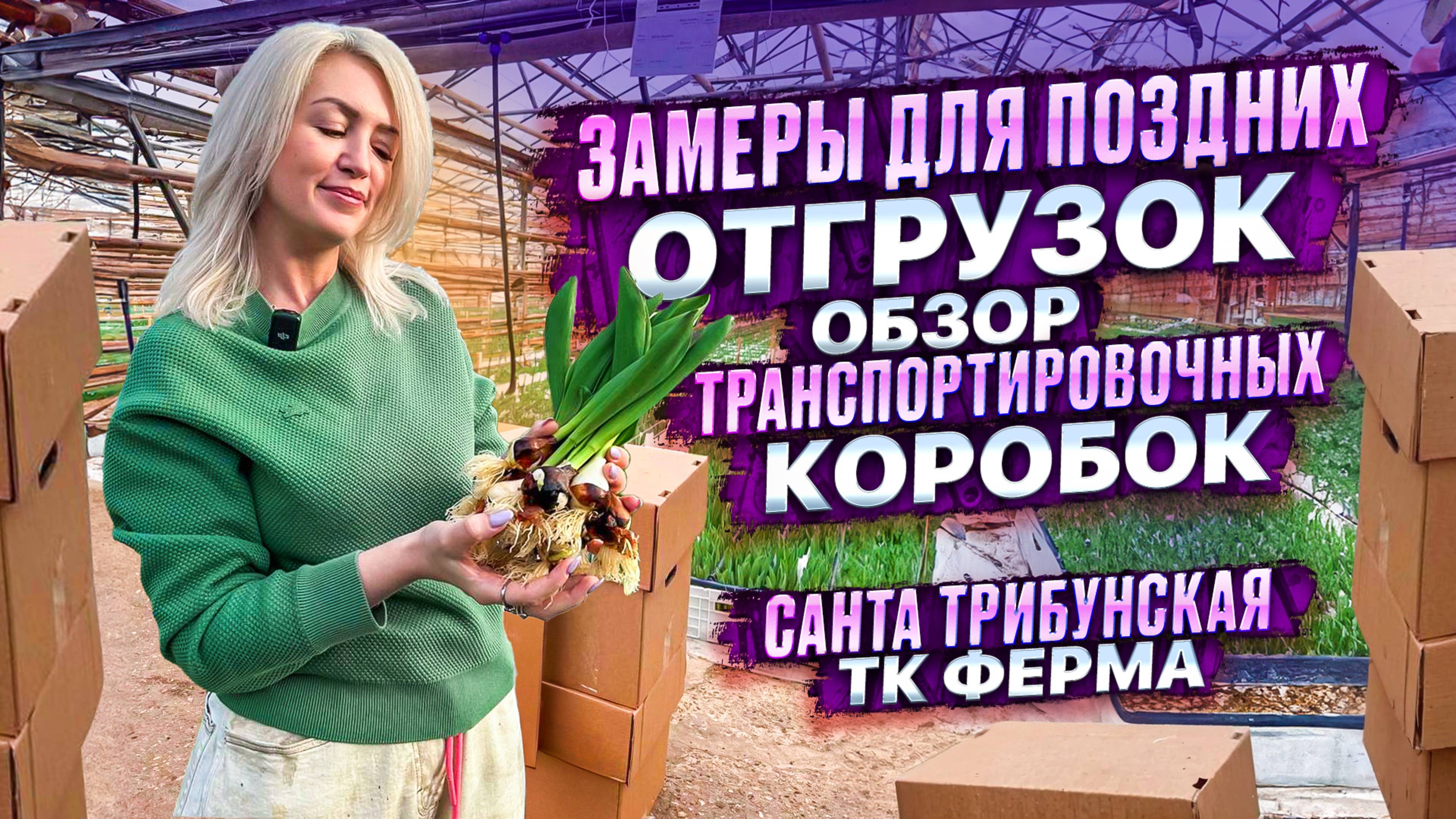 ЗАМЕРЫ ДЛЯ ПОЗДНИХ ОТГРУЗОК. ОБЗОР ТРАНСПОРТИВОЧНЫХ КОРОБОК