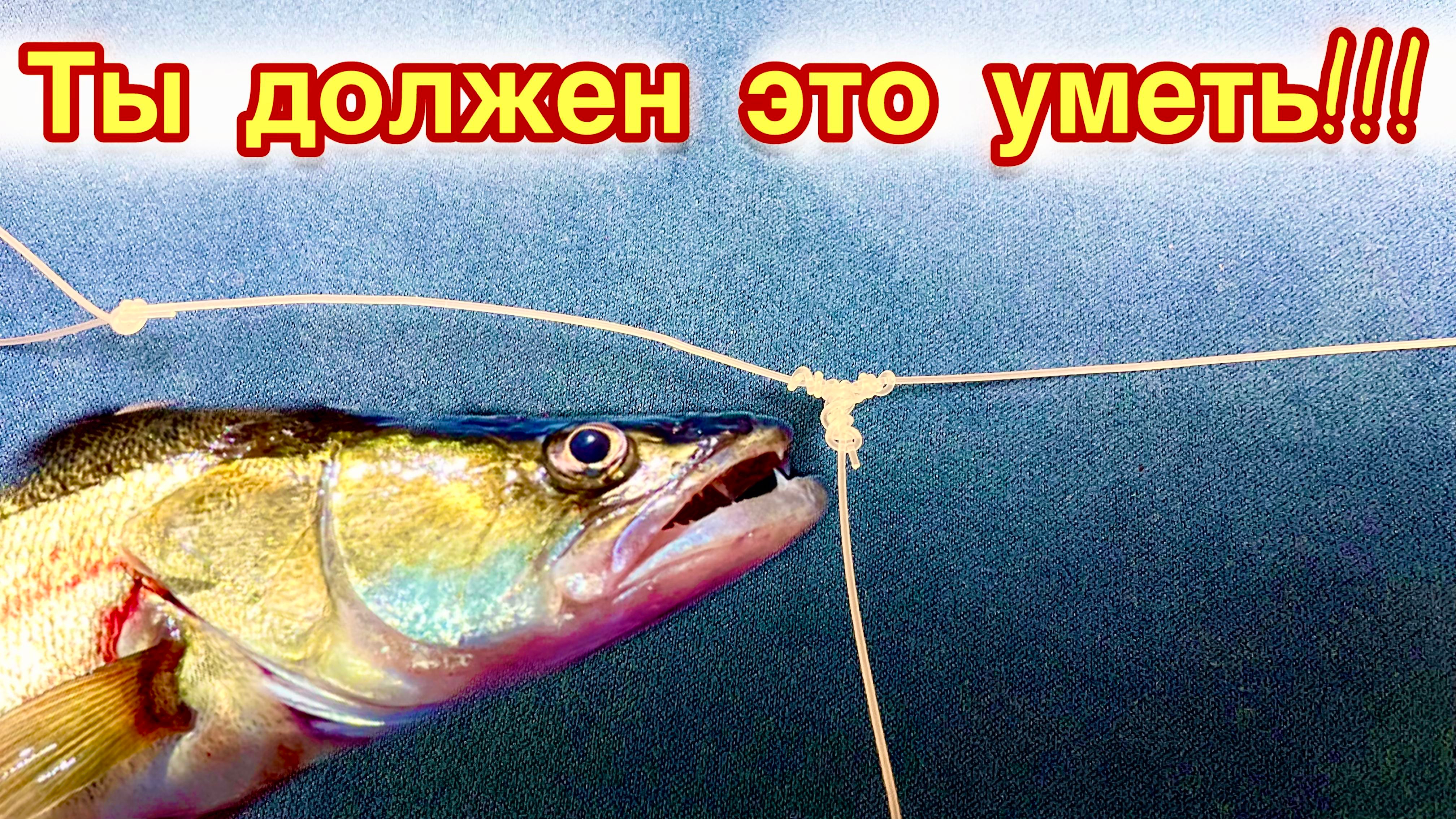 Лучший монтаж на судака! Ты обязан это знать!