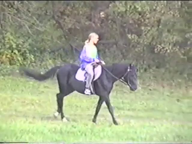 Новый Иерусалим - Кони_New Jerusalem - Horses