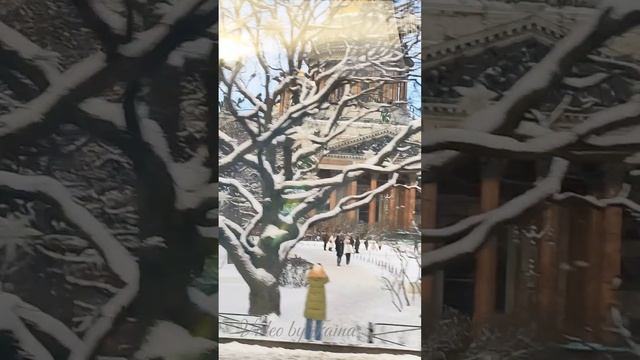 Под небом зимнего Петербурга. Мои зимние Новогодние каникулы. #Северная_Пальмира.