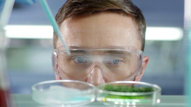 Рабочий скот науки: как появились подопытные животные