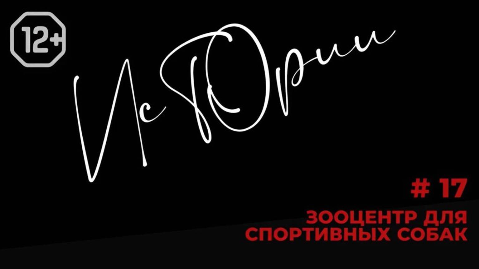 История № 17: зооцентр для спортивных собак