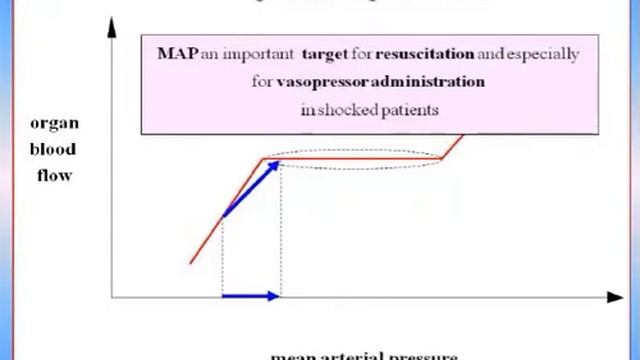 13 Arterial pressure monitoring Teboul J L  (2009)