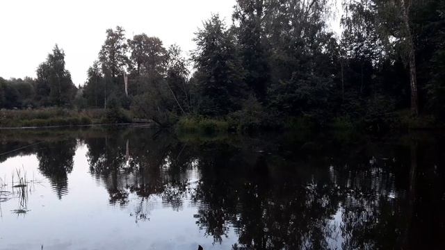 03.08.2020, Московская обл, пос. Дорохово, сын Михаил осваивает спиннинг на местном пруду.