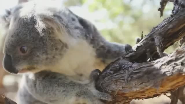 Dj Antonio & Natasha Grineva - Last Kiss (Dj MAX Video mix)