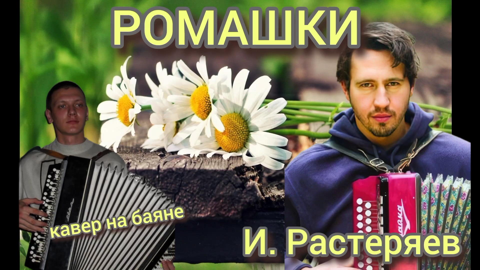 Ромашки - И. Растеряев (кавер на баяне)