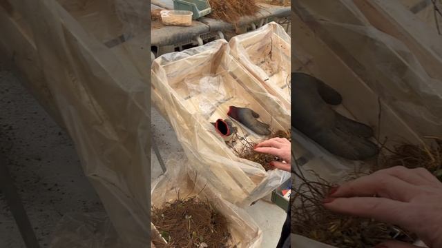 Рабочее место