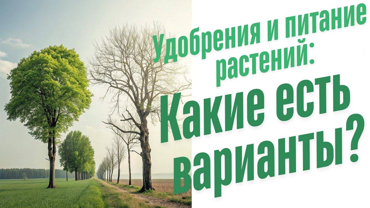 Роль удобрений в питании растений