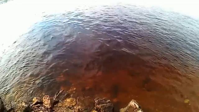 Конец запрета!