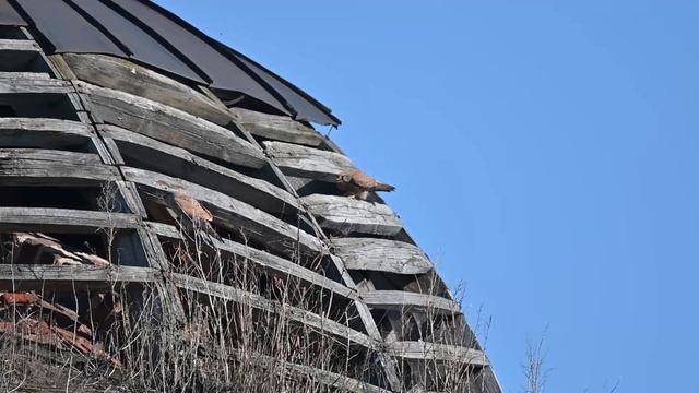 Вещание Гамаюна. Фильм восьмой. Пустельга.