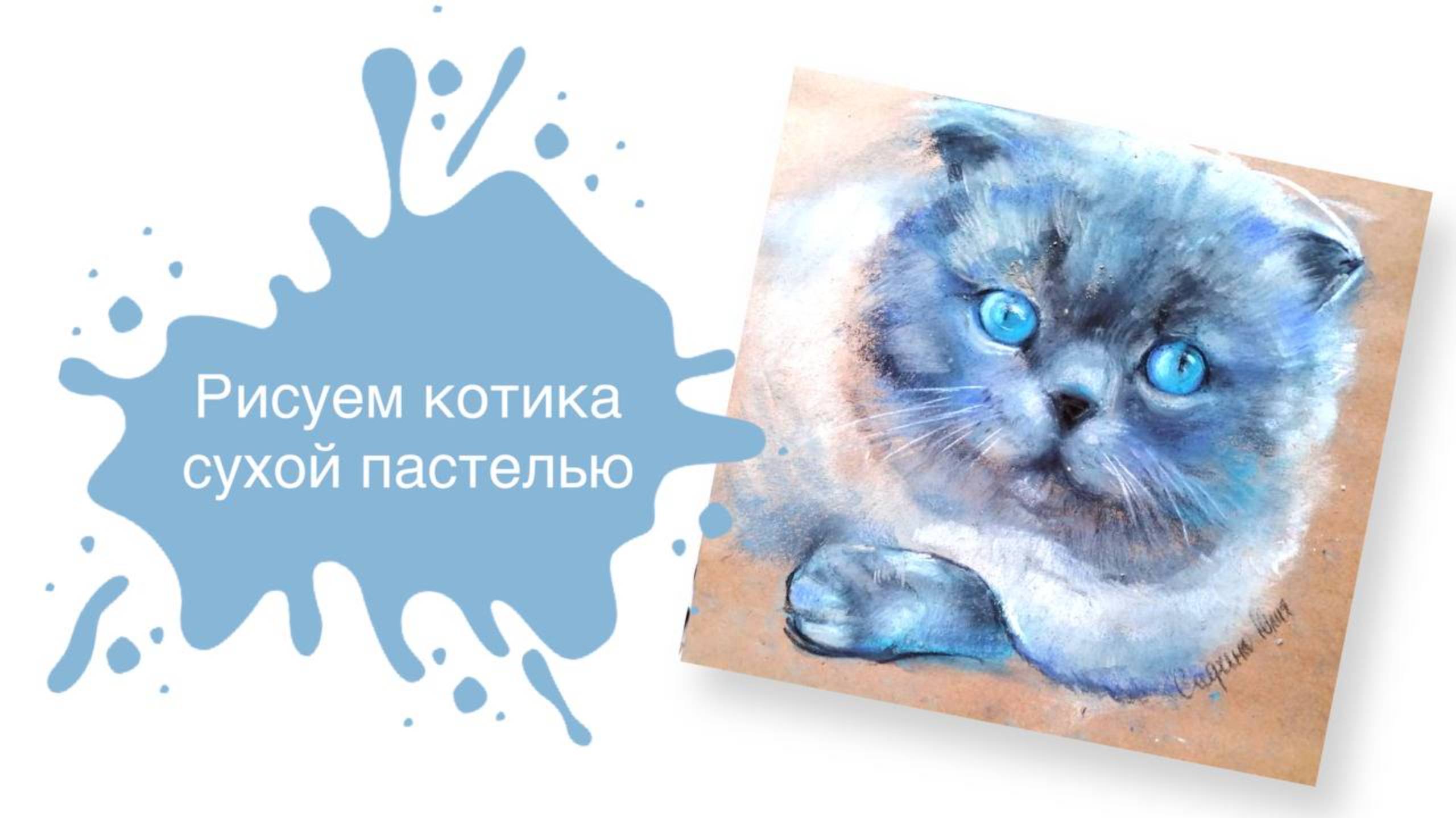 Рисуем Котика Дымку Сухой Пастелью! Урок для начинающих пастелистов 🐈