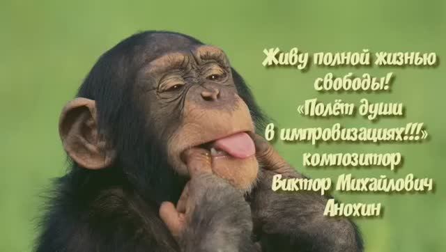 Буги-вуги «Живу полной жизнью свободы!» ИМПРОВИЗАЦИЯ композитор Виктор Анохин #instrumentalmusic