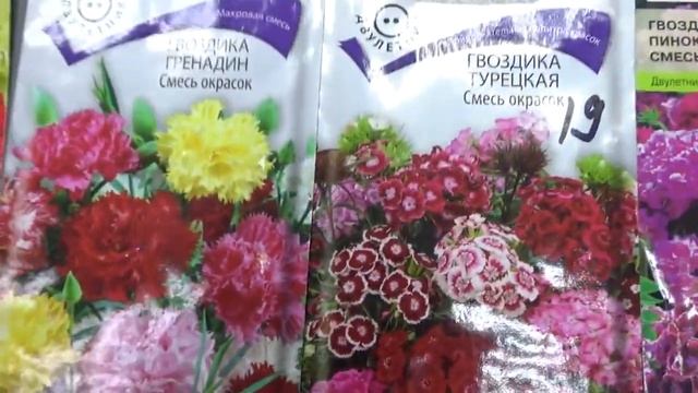 Обзор цветов, которые высеваем в январе,феврале