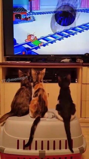 Семейный просмотр мультиков