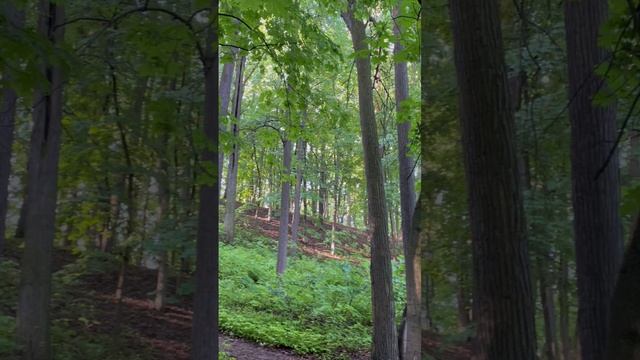 Царицыно. 27.05.2024.