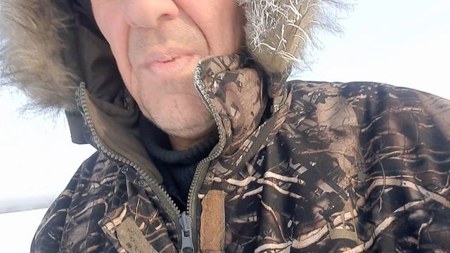 Истории из жизни. Наследие предка..😈