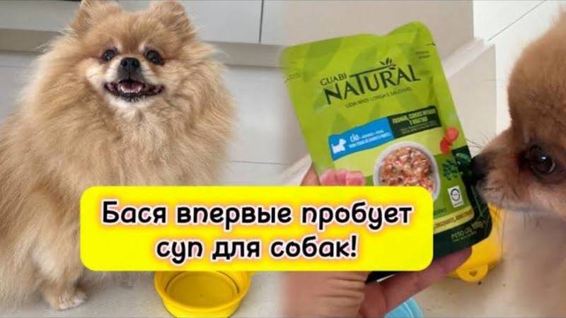 Бася впервые пробует суп для собак!
