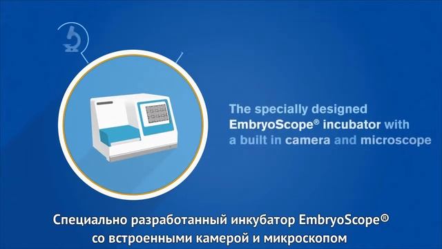 EmbryoScope
