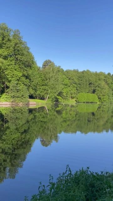 Царицыно. 27.05.2024.