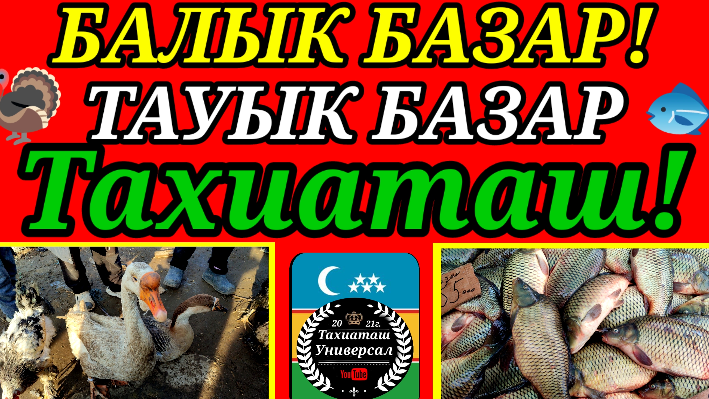 27-01-2025 ПТИЧИЙ РЫНОК