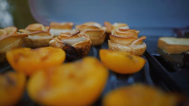 Портативный газовый гриль Napoleon TravelQ™ 285X