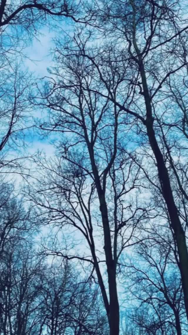 Царицыно. 17.03.2024.