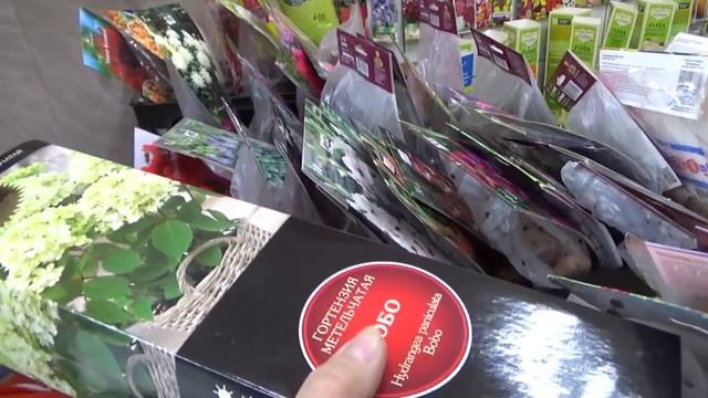 Вы тоже уже покупаете саженцы роз, гортензий и др.?