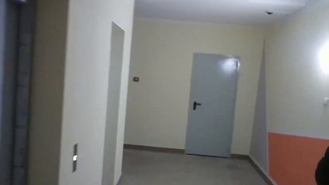 Однолистовая дверь ЖК "на Клубной"